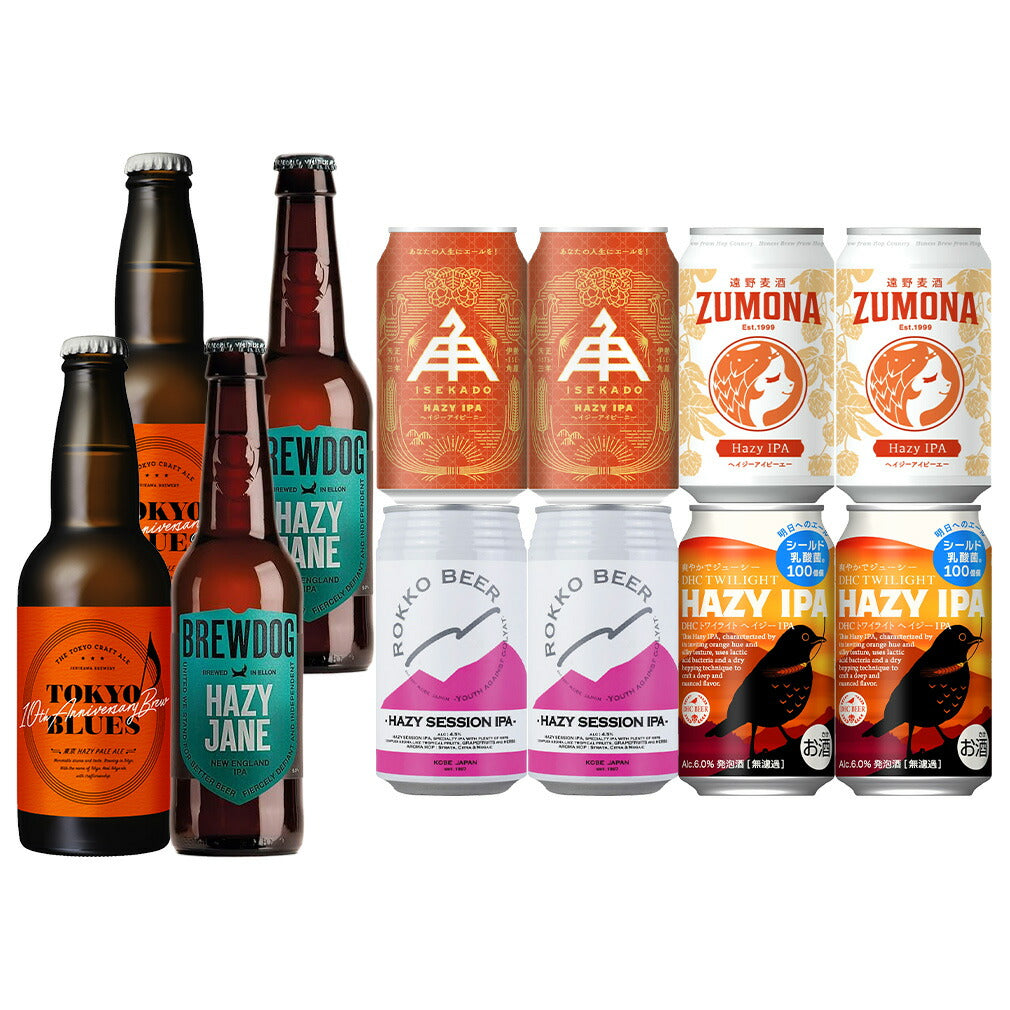 Saketora Selection – Hazy Craft Beer Assortment (6 Varieties, 12 Bottl